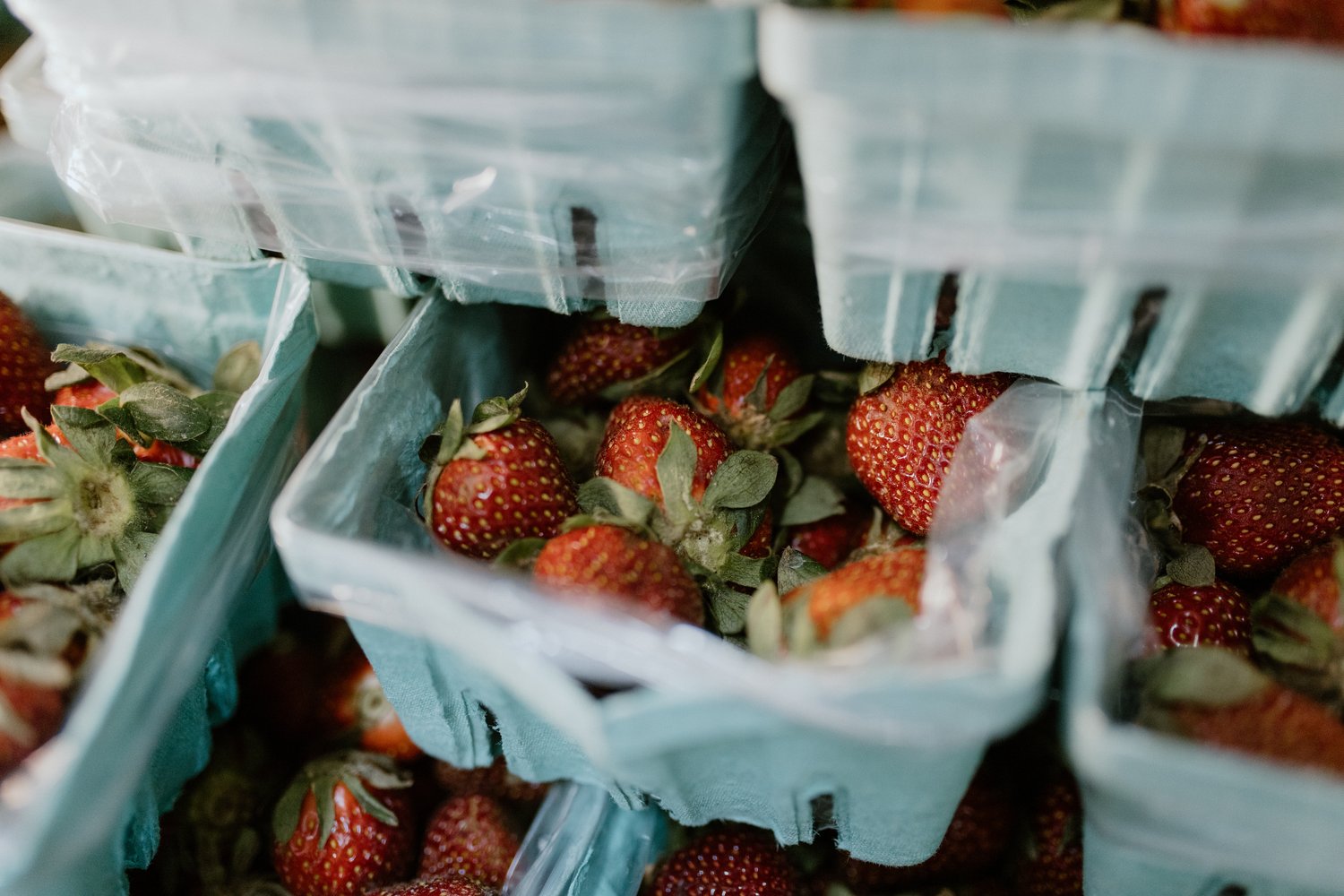 Come Together – Stone Hollow Farmstead