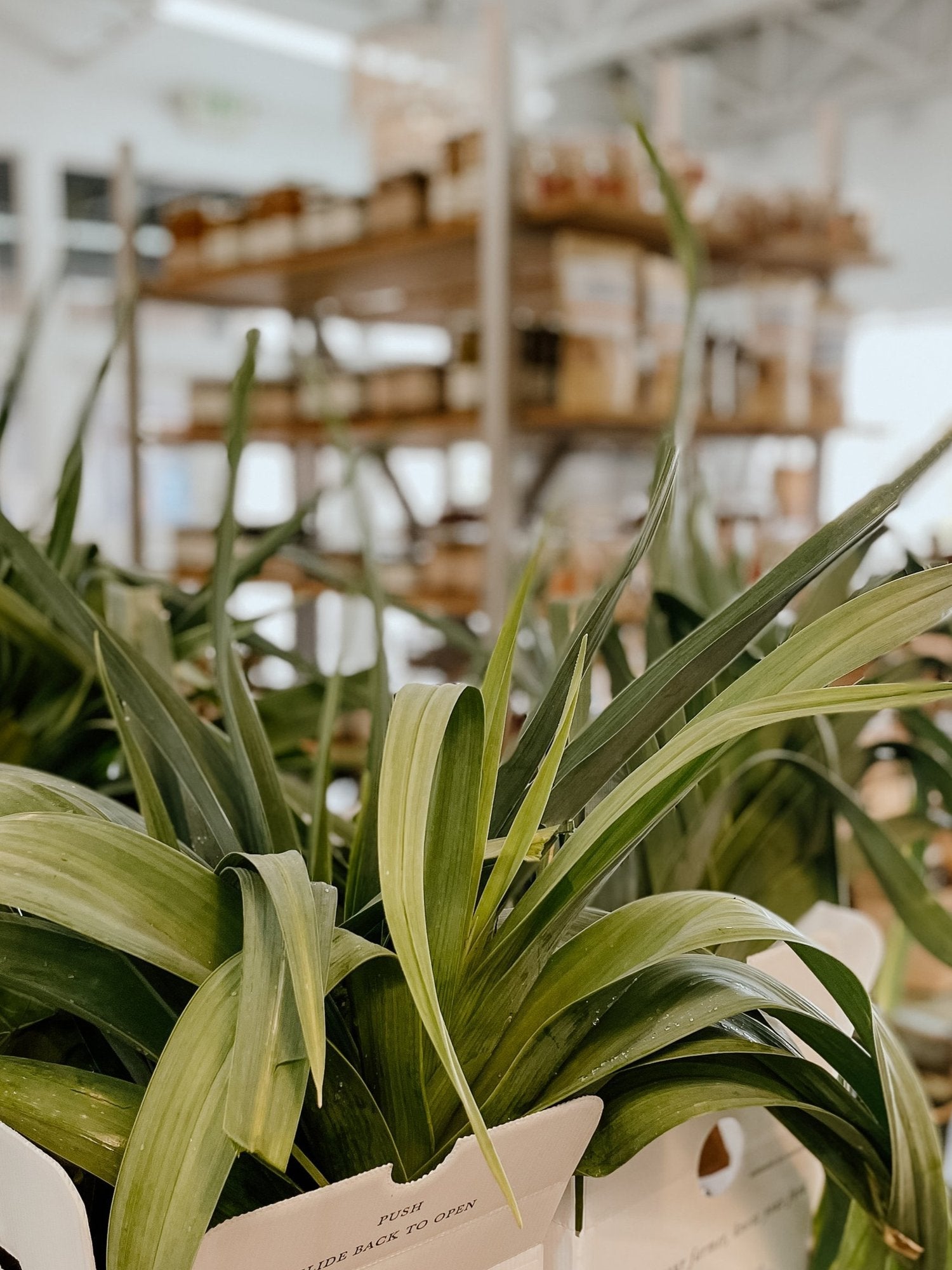 The Nature of Things – Stone Hollow Farmstead