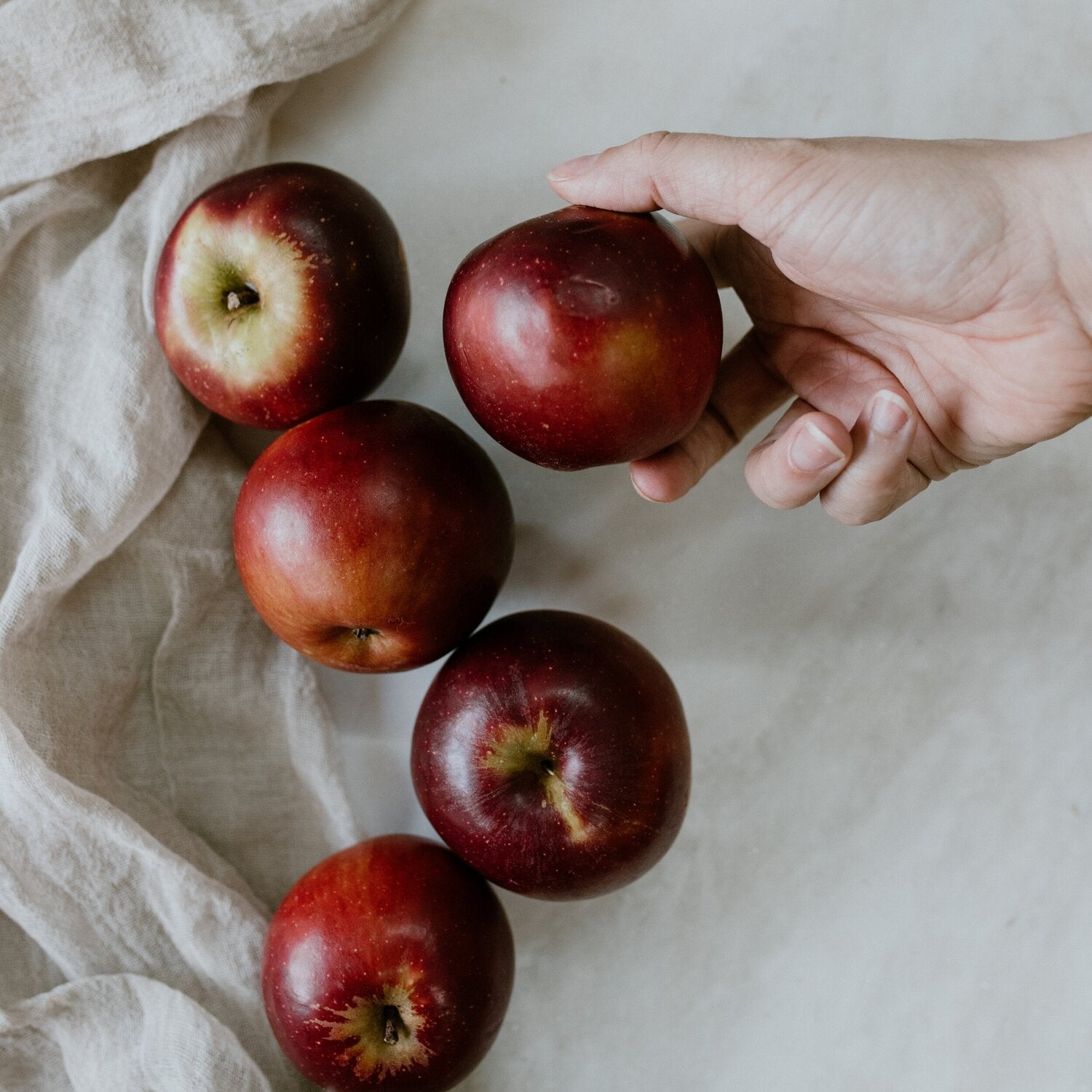 Seasonal Boost – Stone Hollow Farmstead