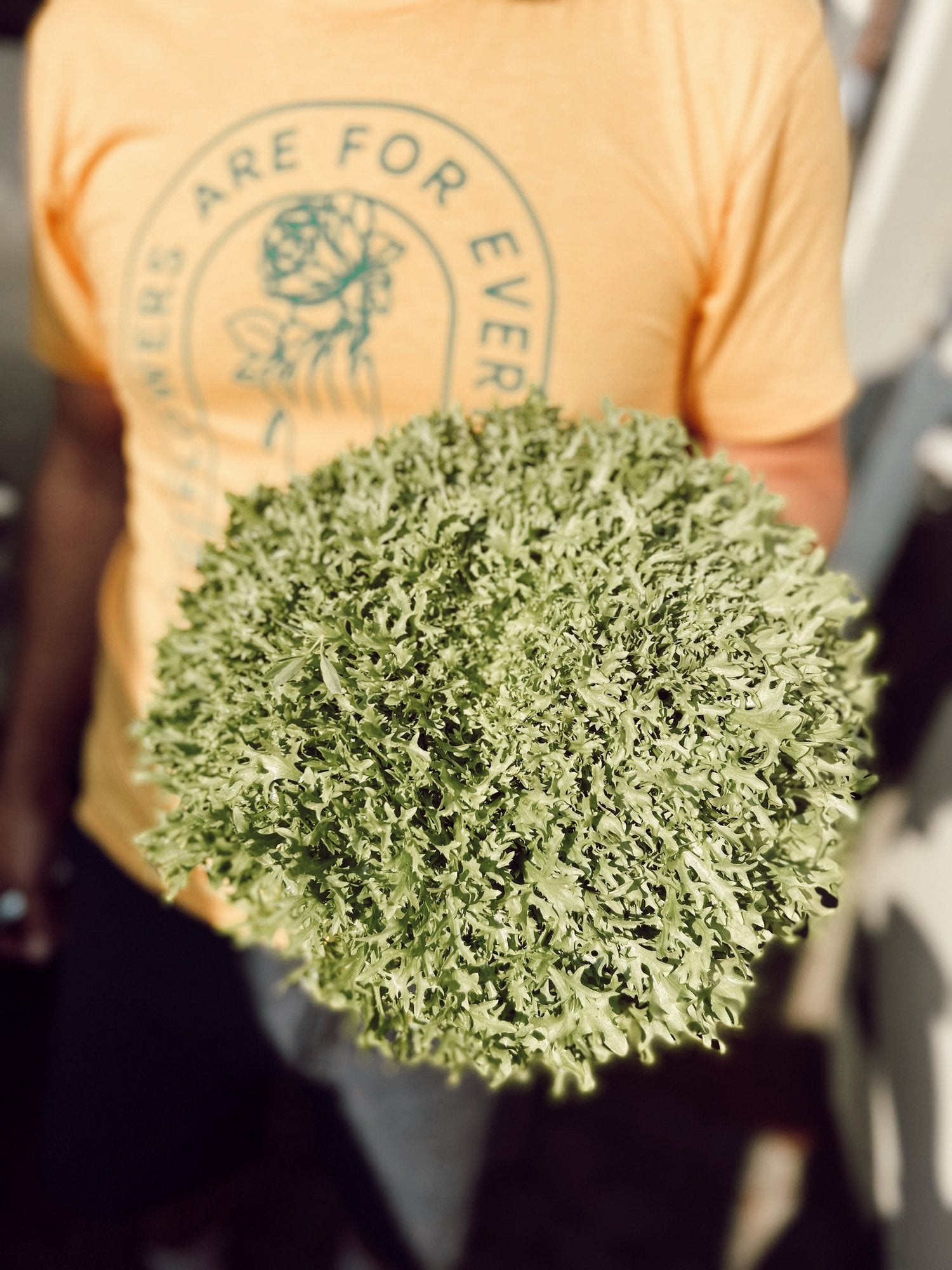 Welcome to Summer! – Stone Hollow Farmstead