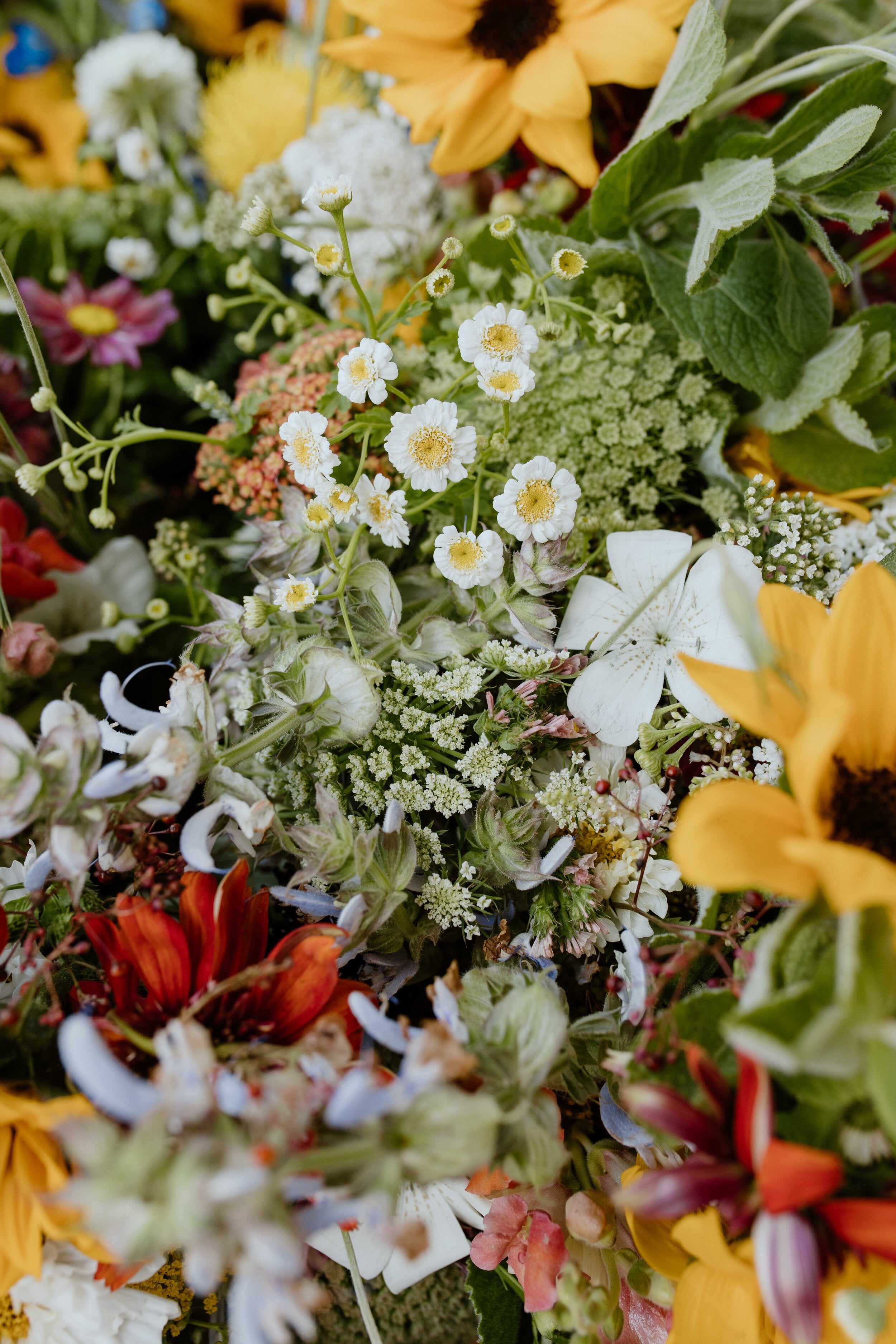 Cue the Confetti – Stone Hollow Farmstead