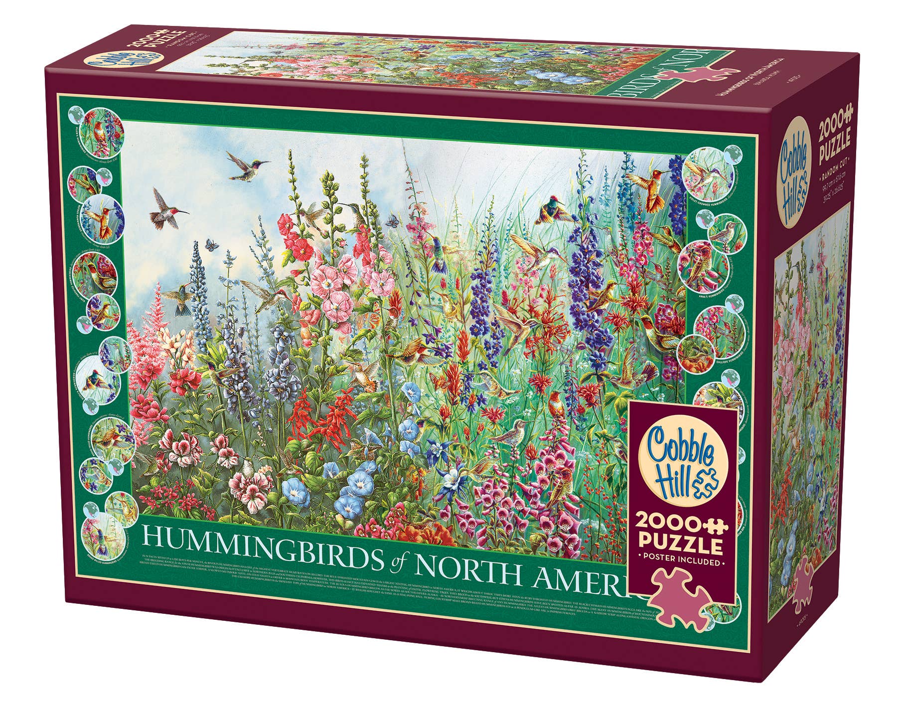 Hummingbirds of North America 2000pc puzzle – Stone Hollow Farmstead
