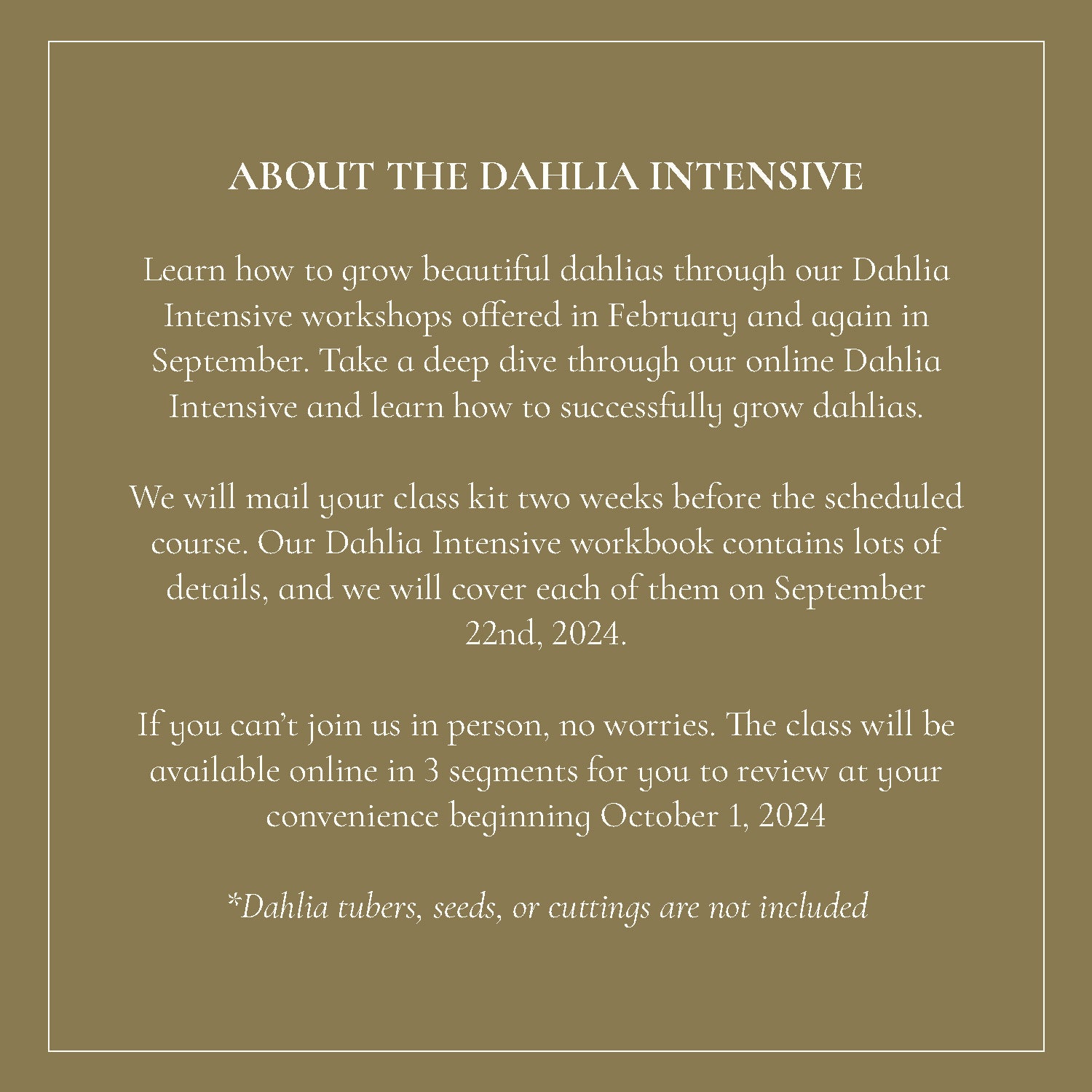 The Dahlia Club Membership – Stone Hollow Farmstead