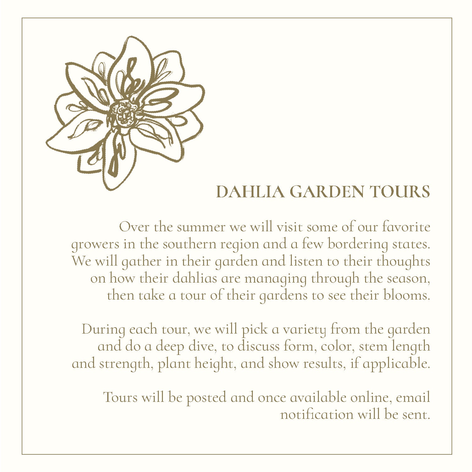 The Dahlia Club Membership – Stone Hollow Farmstead